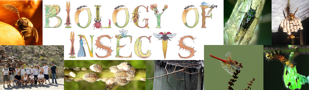 Biology 348 Lecture Syllabus